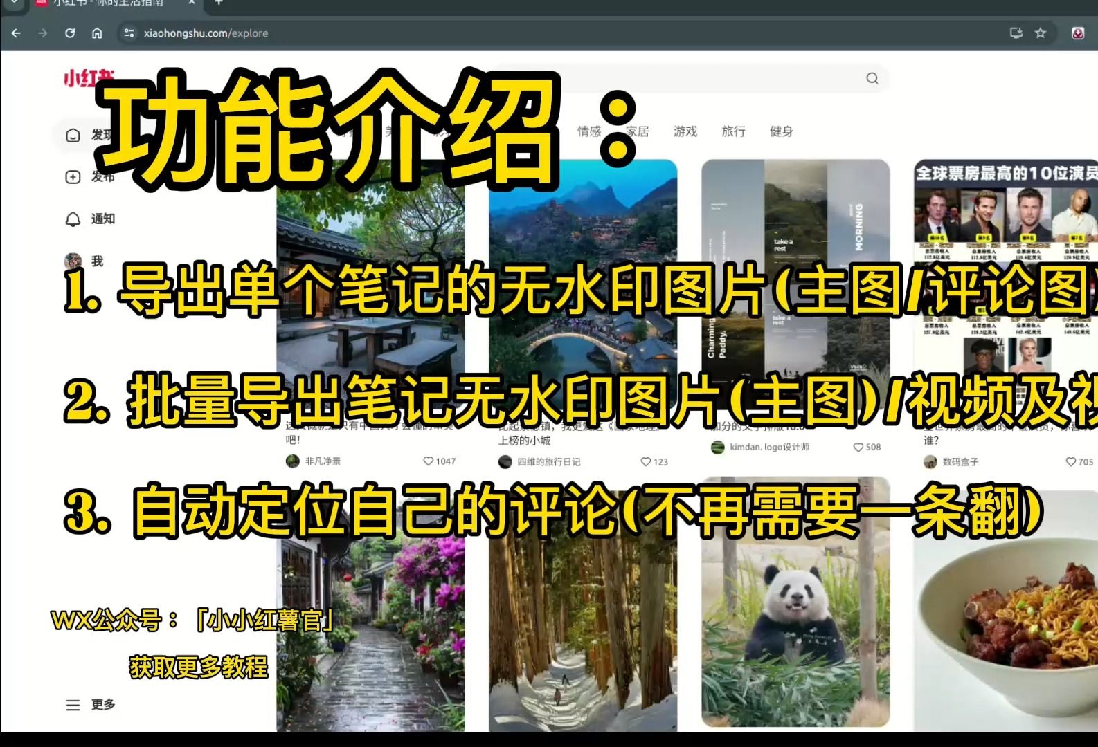 小红书无水印图片下载/无水印视频下载,单个下载/批量下载,小红书评论...