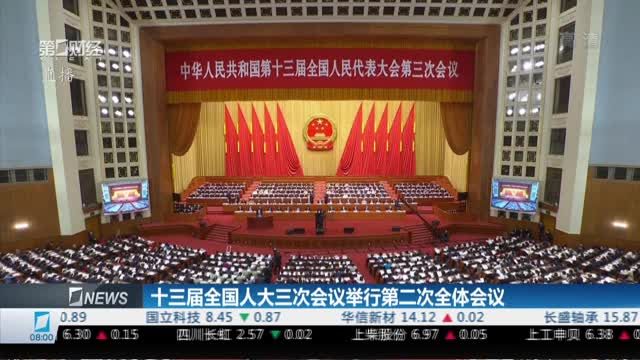 十三届全国人大三次会议举行第二次全体会议