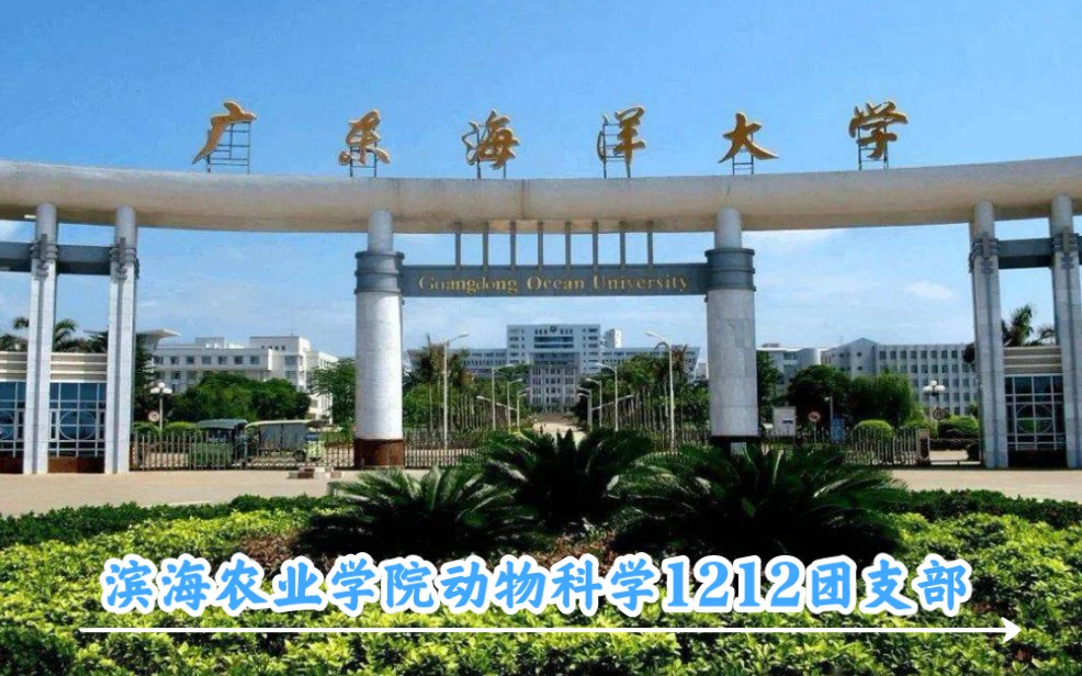 ...—广东海洋大学滨海农业学院动科1212团支书“活力在基层”主题活动
