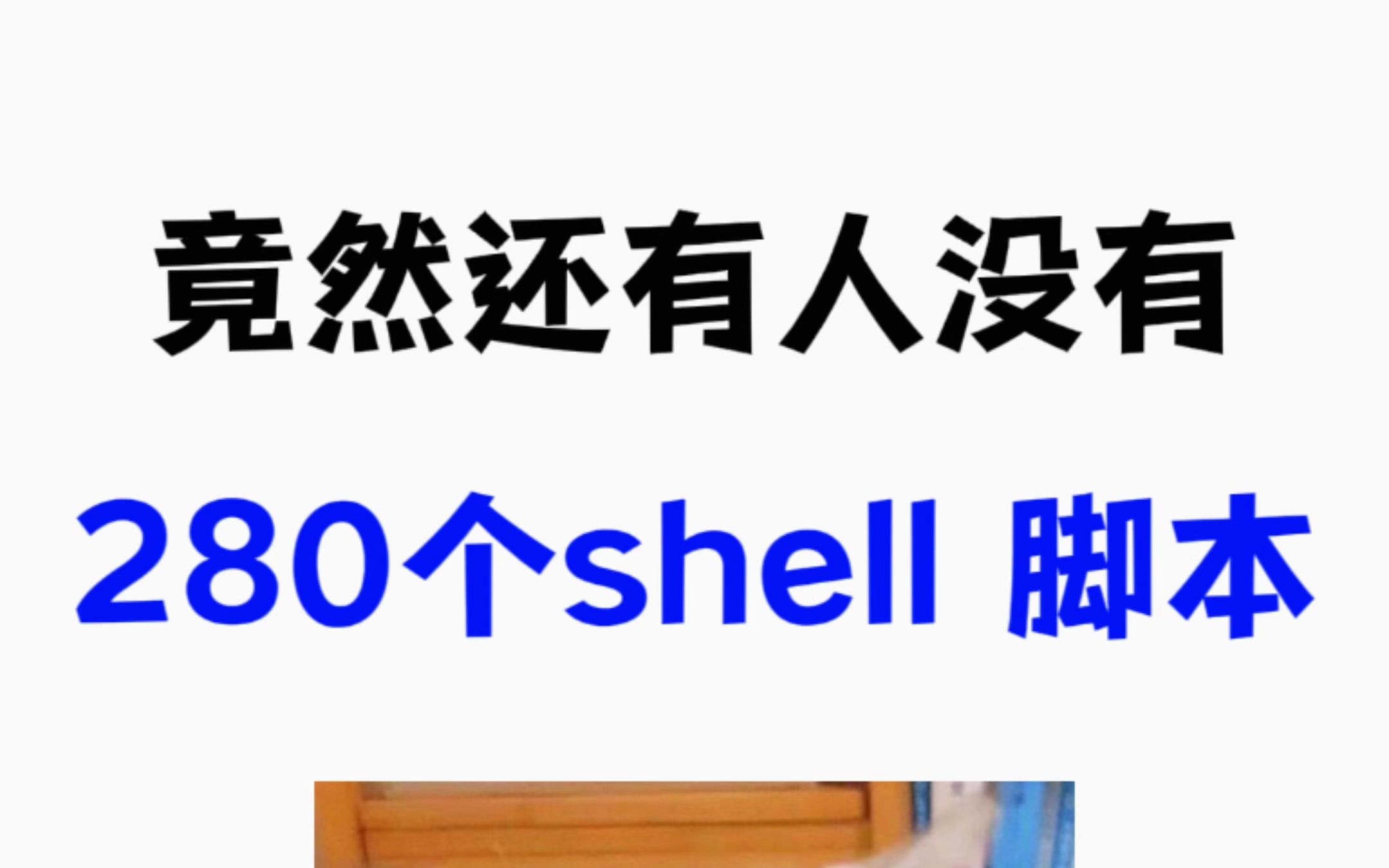 竟然 还有人没有280个Shell 脚本?!