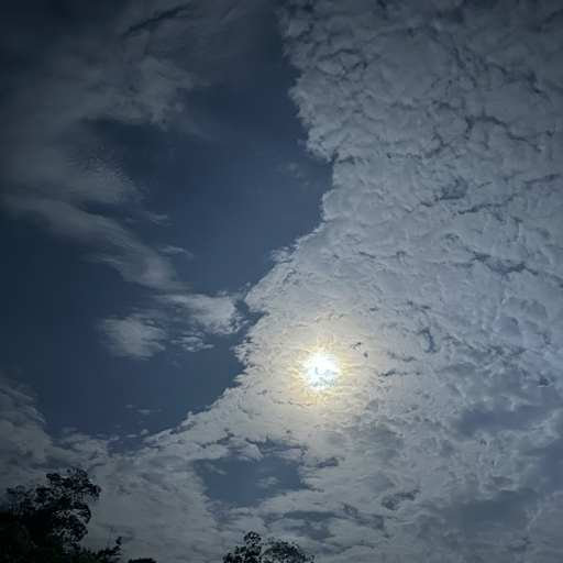 修钢琴的袁师傅 