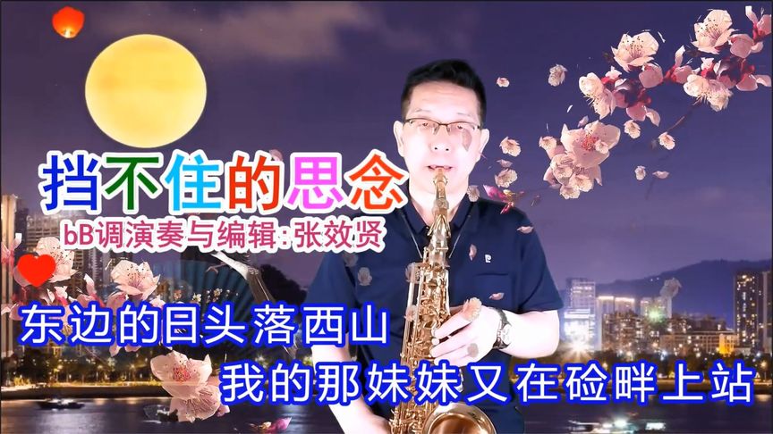 萨克斯演奏的《挡不住的思念》深情好听