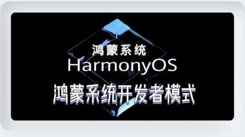 鸿蒙系统的开发者模式的设置,你知道吗