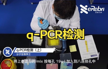 实验:q-PCR检测