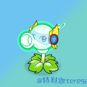 特利迦terega 