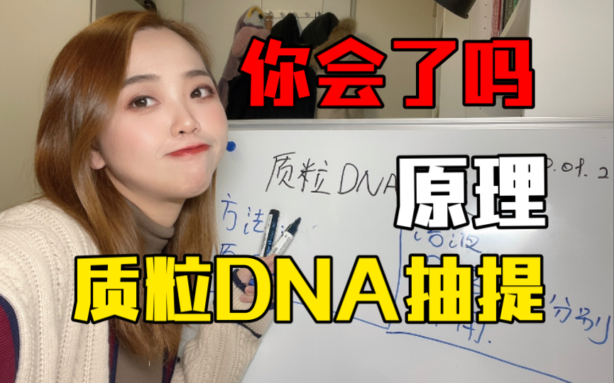 (6分钟小课堂)质粒DNA抽提原理|分子生物学实验技术原理讲解
