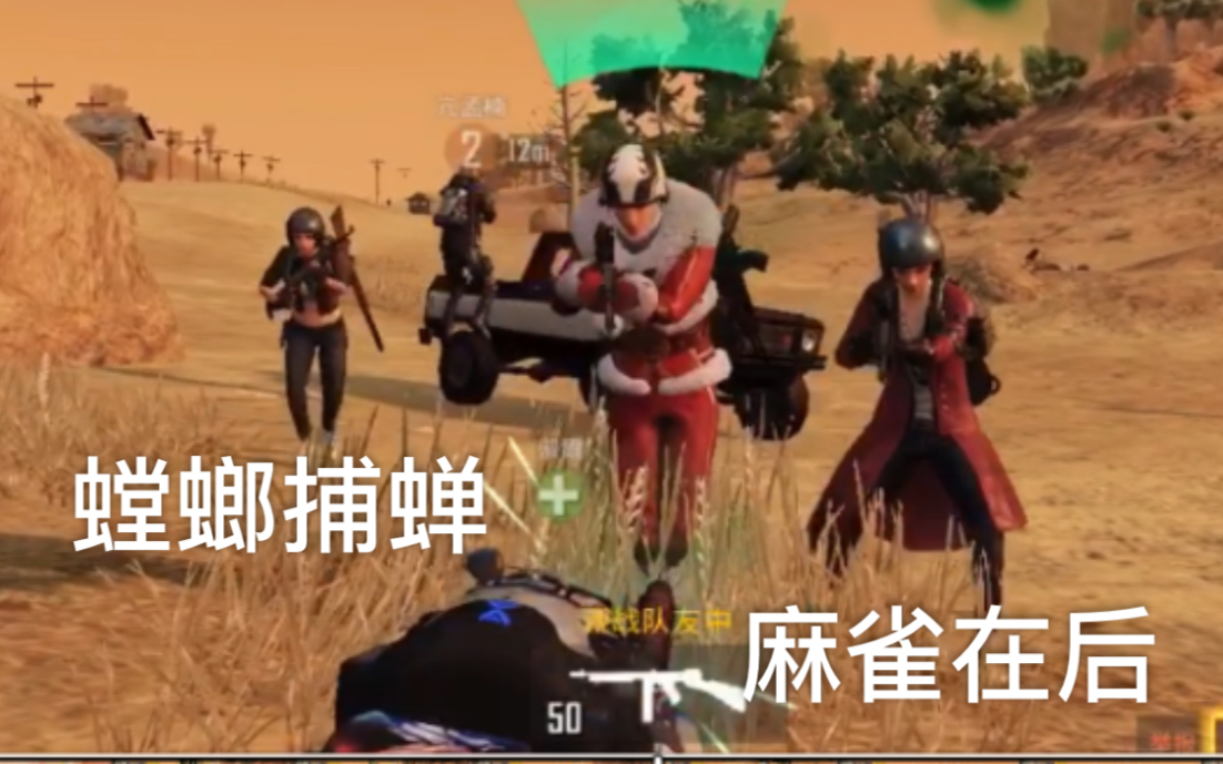 螳螂捕蝉,黄雀在后!