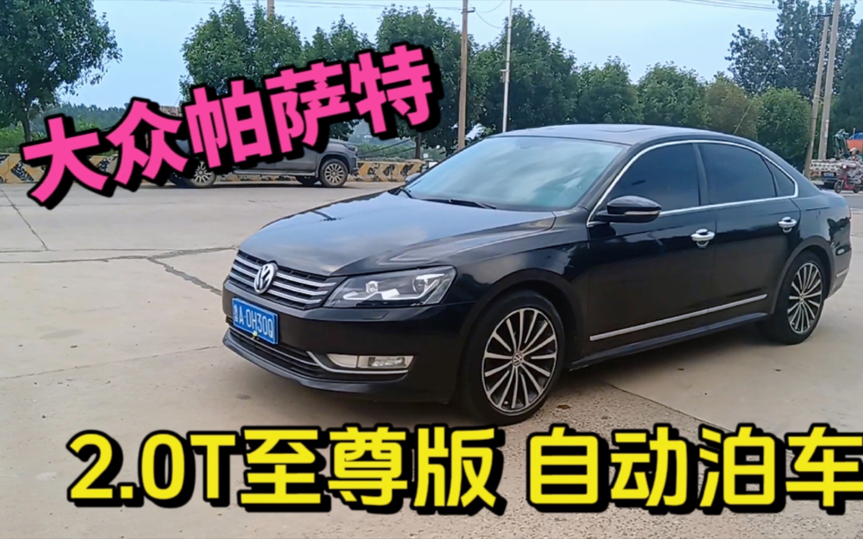 2011年大众帕萨特,2.0T至尊版,记忆座椅,自动泊车,18寸大轮毂,配置那...