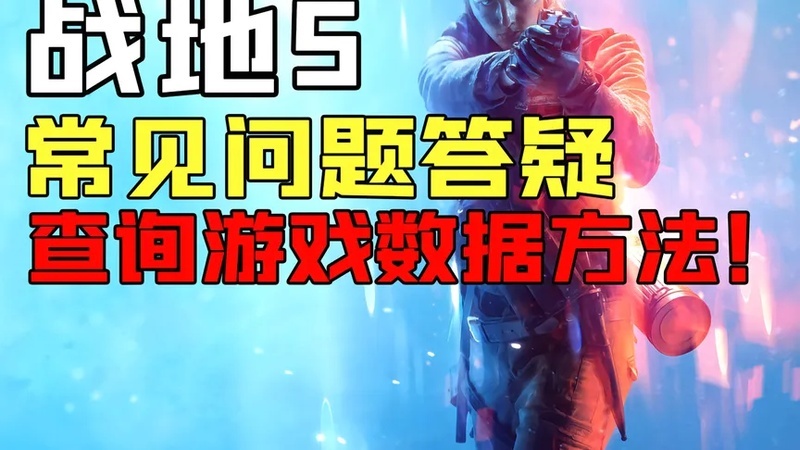 战地5:游戏数据查询办法 (萌新答疑)