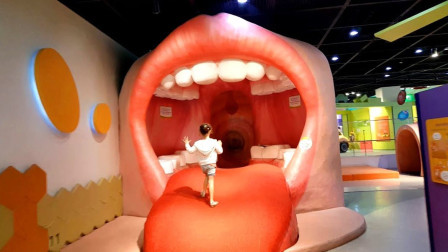 荷兰人体博物馆,走进巨人的身体,看到你想看的一切