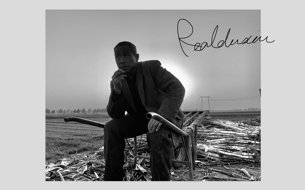 摄影师用iPhone XR拍摄日常生活是什么样的