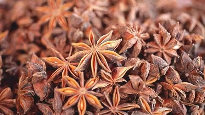 八角别乱买,有的八角是假的,有“剧毒”,教你辨别方法,快学学