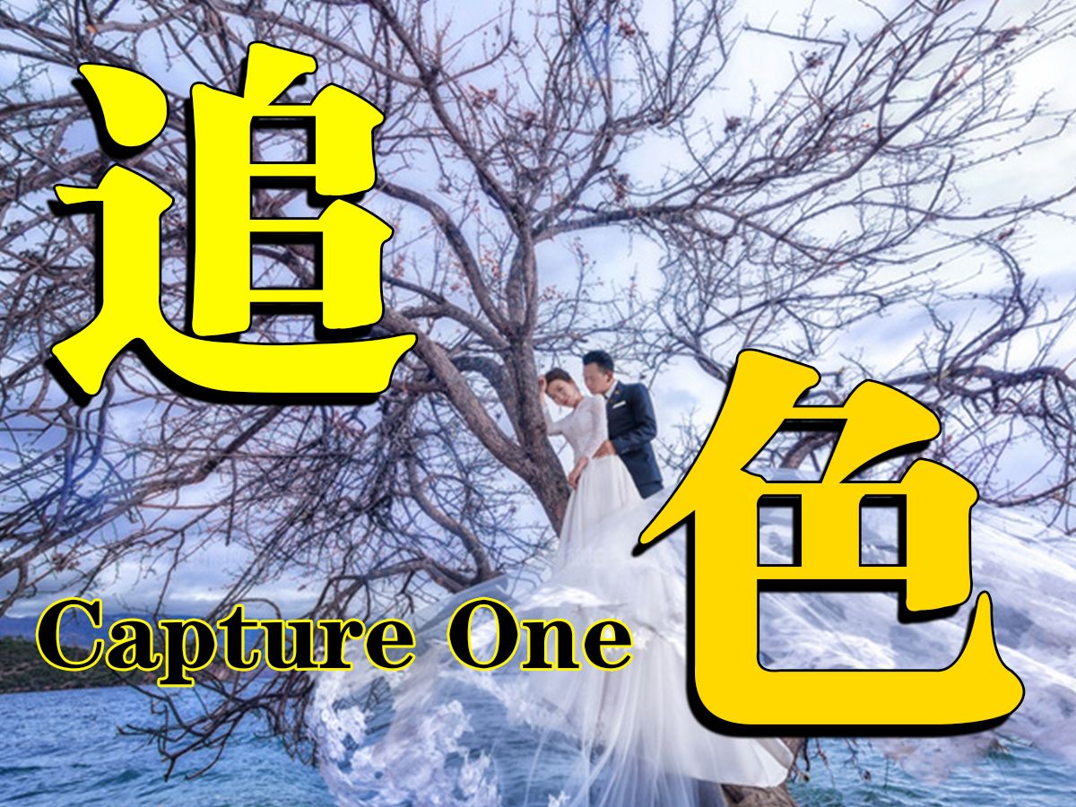 飞思CaptureOne实战教程