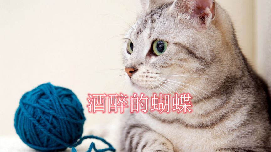 图形化编程实例,飞不出这花花的世界,原来我是那一只酒醉的蝴蝶