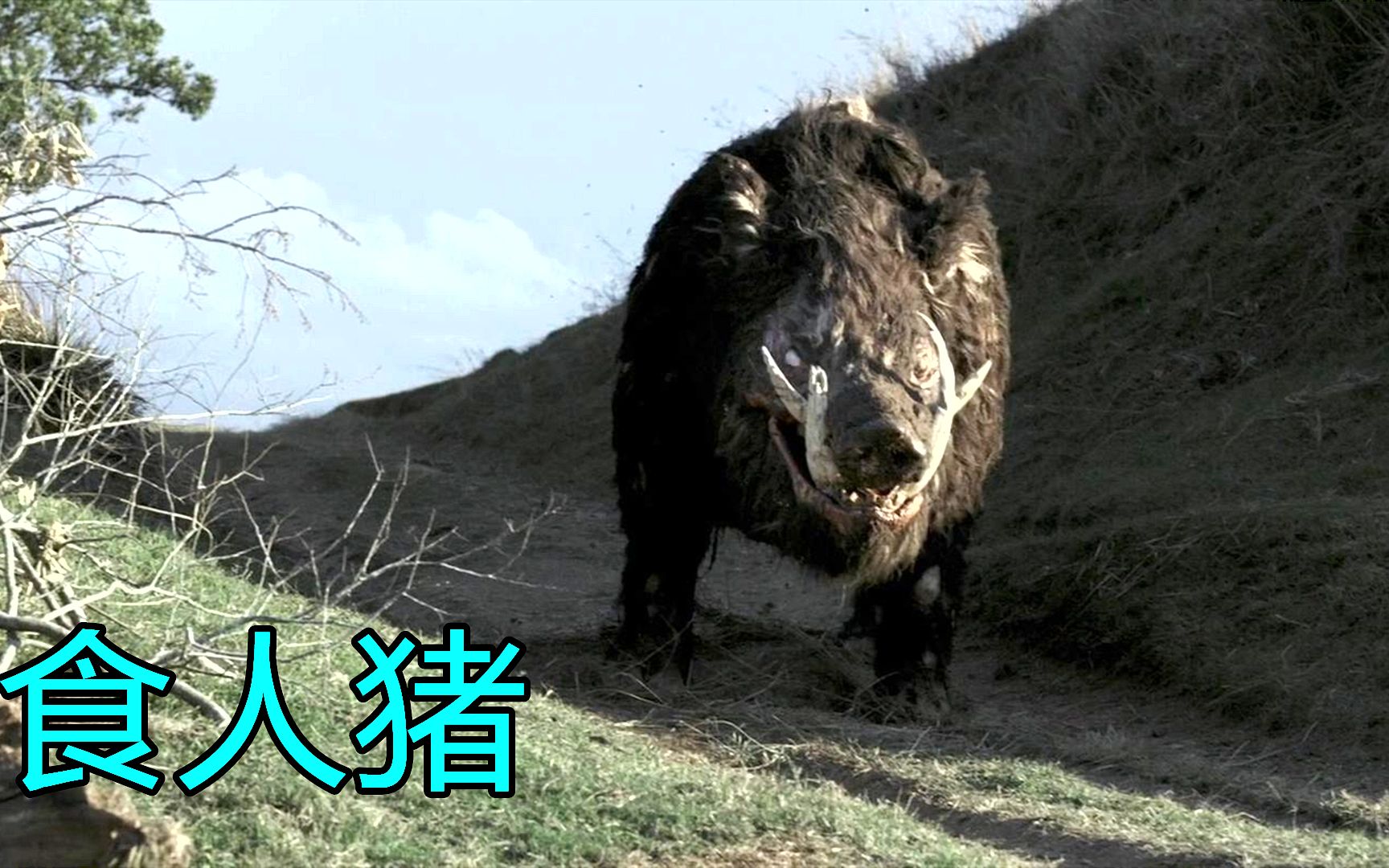农场出现食人猪,把活人当做食物,到处捕食,惊悚电影