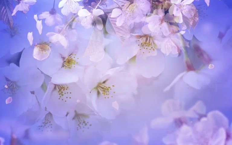 ...成品 经典歌曲大型文艺晚会舞蹈演出背景屏幕LED高清视频动画素材