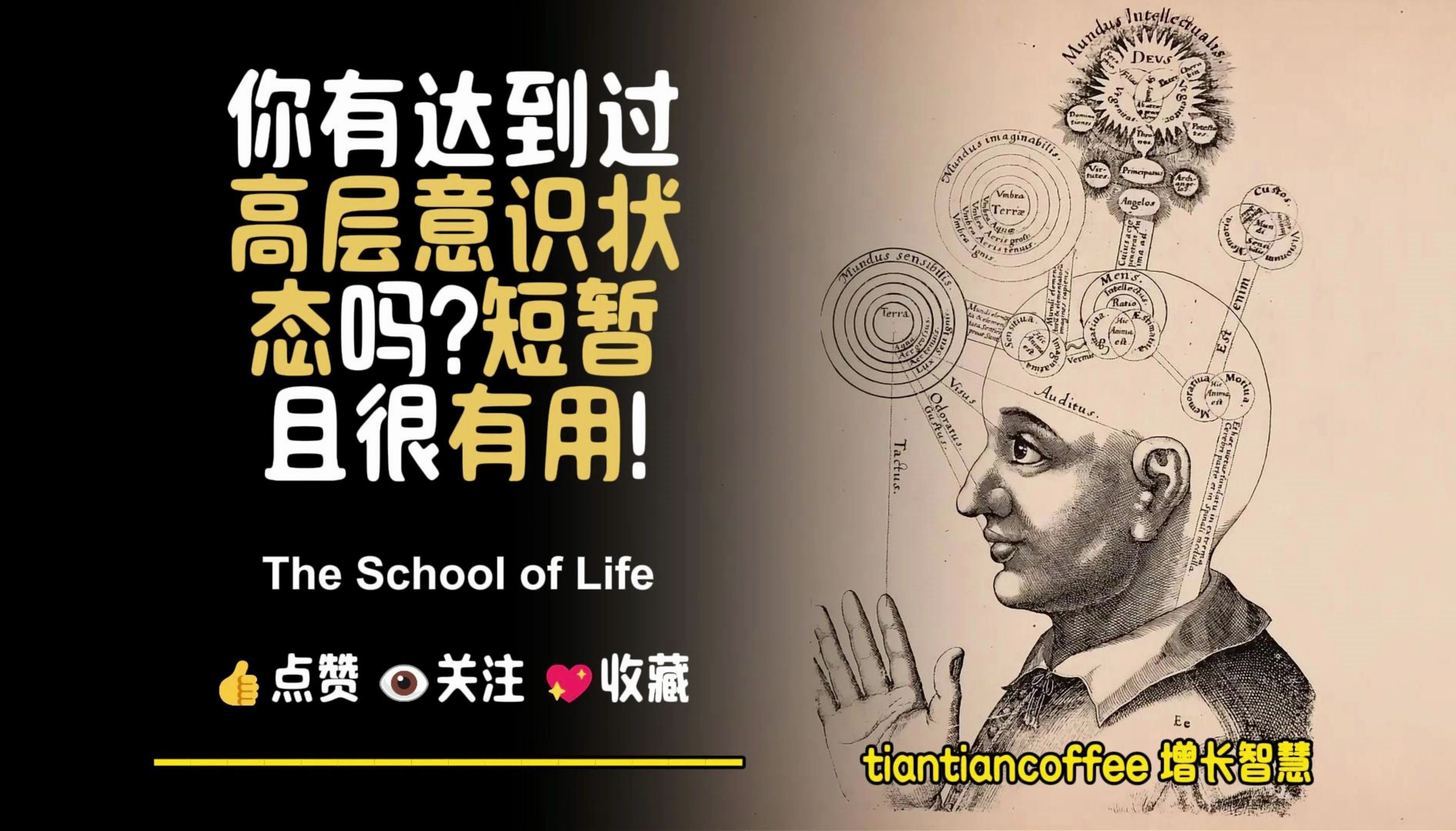 你有达到过高层意识状态吗?►十分短暂且很有用 – The School of Life