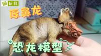 恐龙模型分享:厚鼻龙布莱恩!恐龙大王PNSO 4