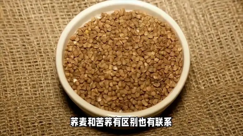 荞麦和苦荞有区别也有联系,带大家了解它们的不同之处