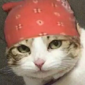 razonyang 