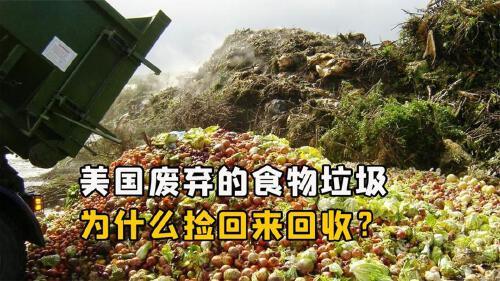 美国人废弃的食物垃圾,为什么不拉去填埋?他们留着有什么用处?