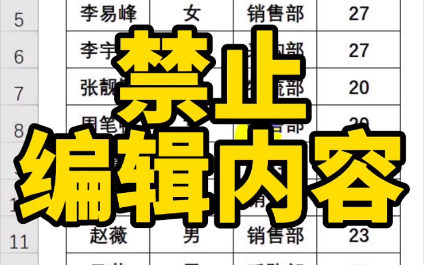 Excel禁止编辑内容