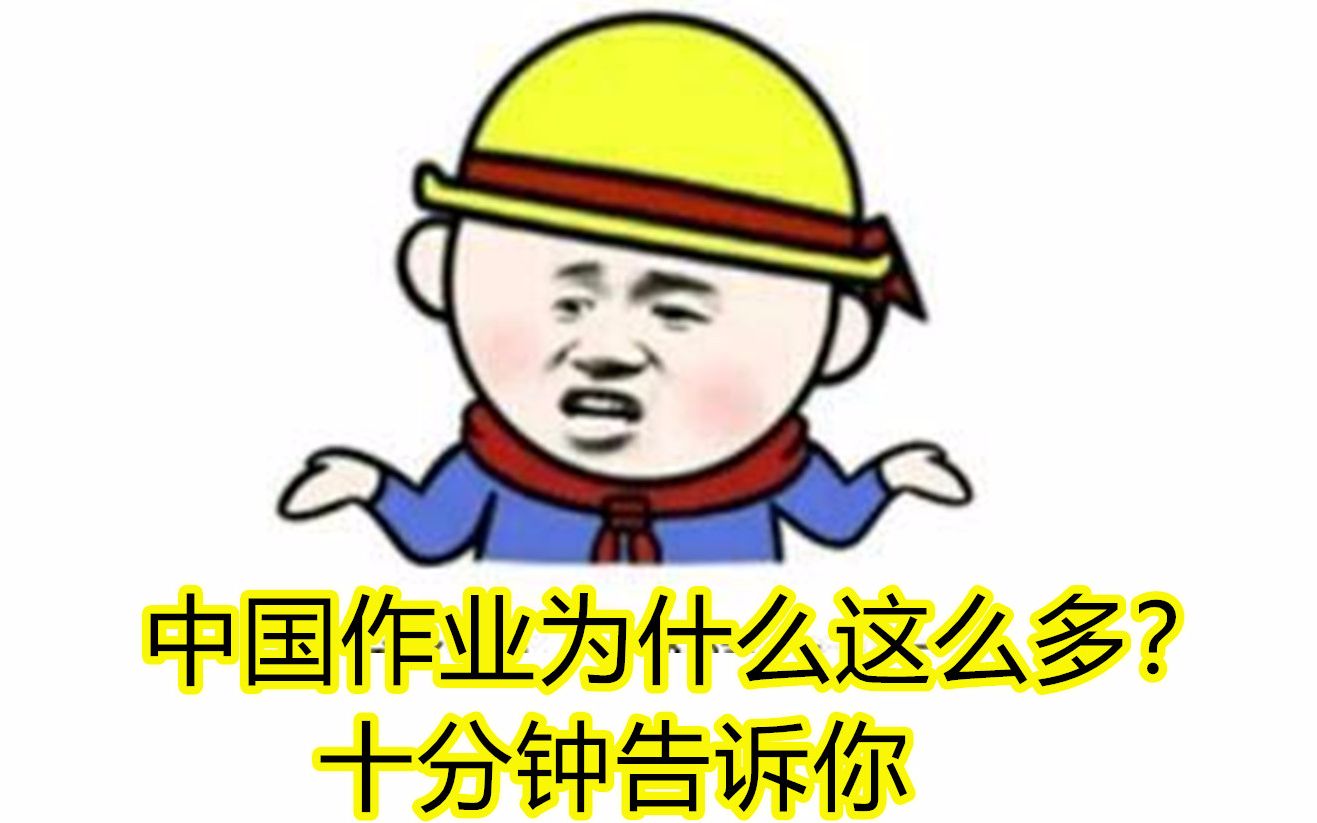 【小加】中国作业为什么这么多?十分钟告诉你( • ̀ω•́ )✧