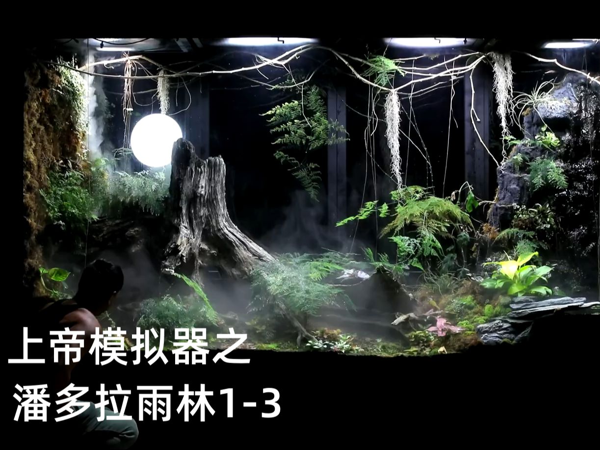 上帝模拟器之潘多拉雨林1-3