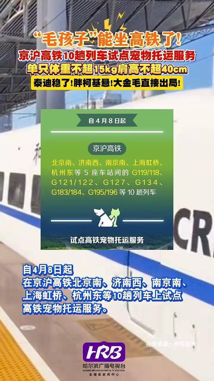 “毛孩子”能坐高铁了!京沪高铁10趟列车试点宠物托运服务#高铁#...