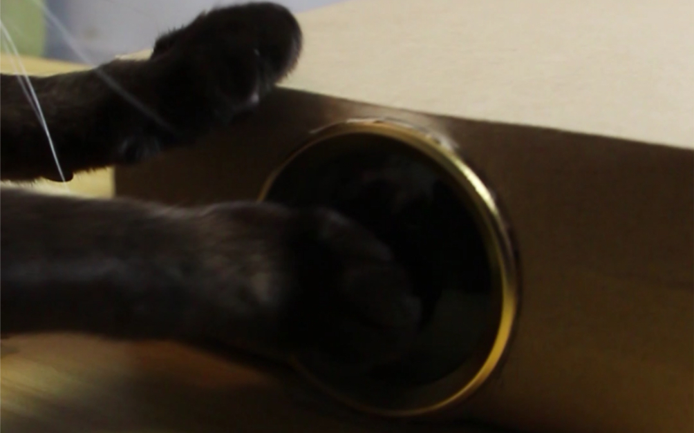 这就是传说中的“皮”影戏?