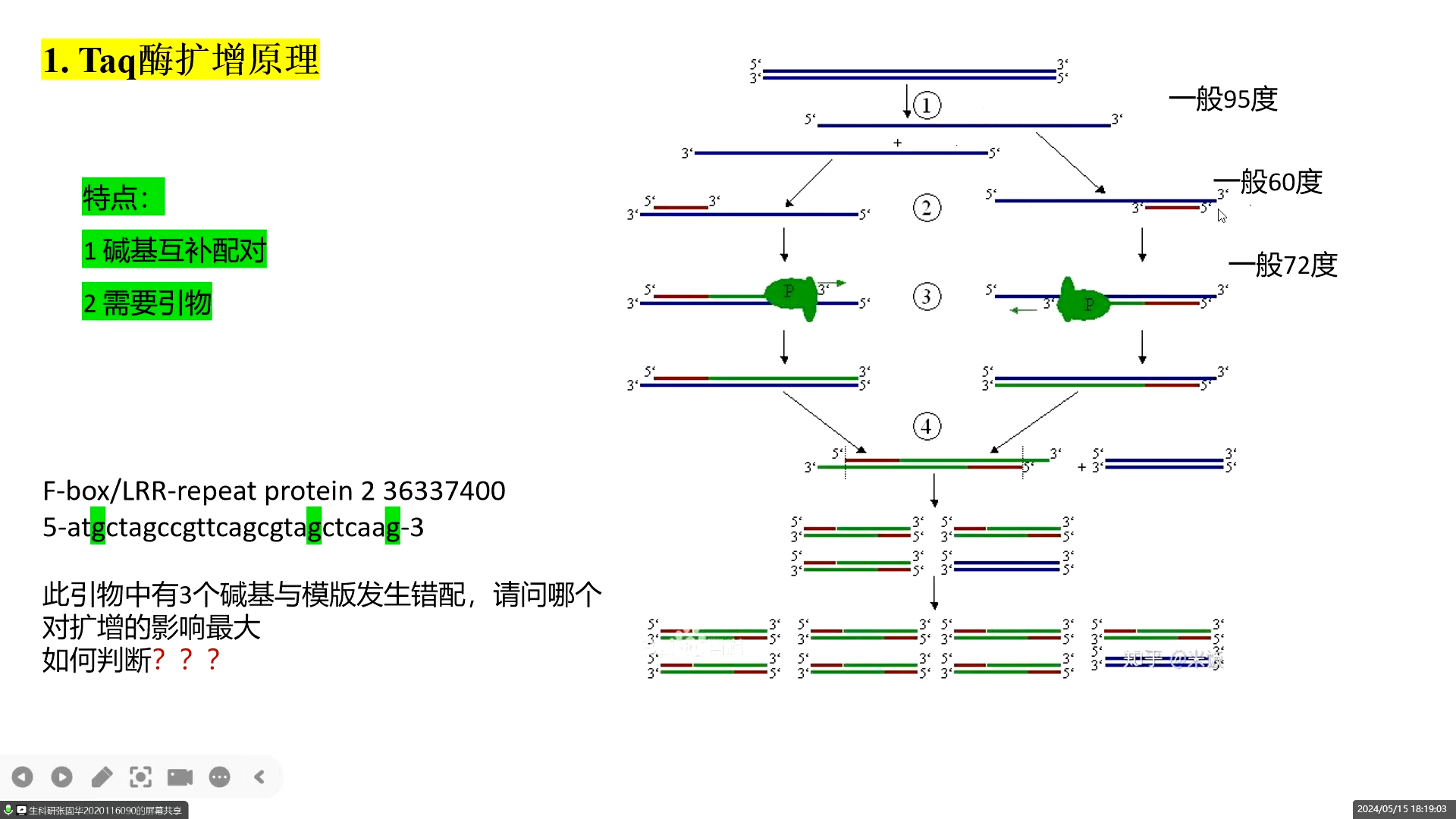 PCR qPCR Primer5引物设计教程 (张教授的讲座)硬核分享