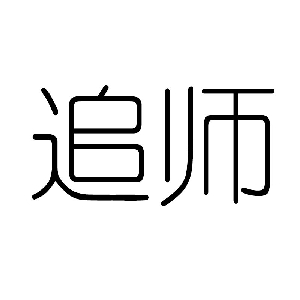 追师zs 