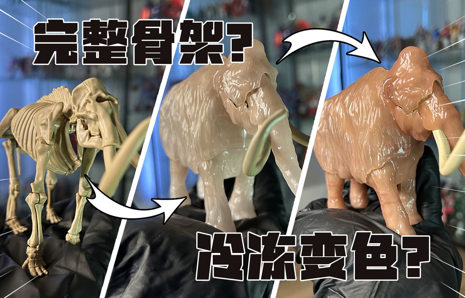 这是30块的科普拼装小玩具的待遇?!万代自然探索系列 猛犸象 开箱速...