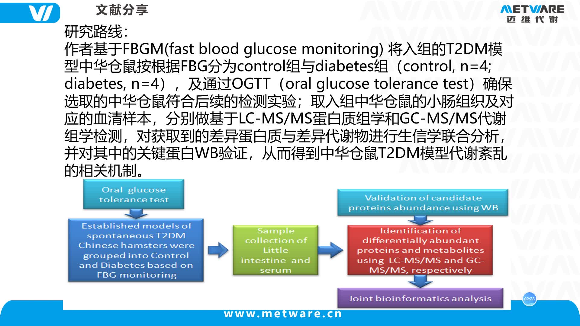 小肠蛋白质组学联合血清代谢组学揭示T2DM中华仓鼠氨基酸代谢紊乱...