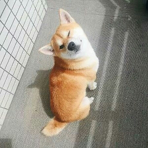 BKB啦啦啦 