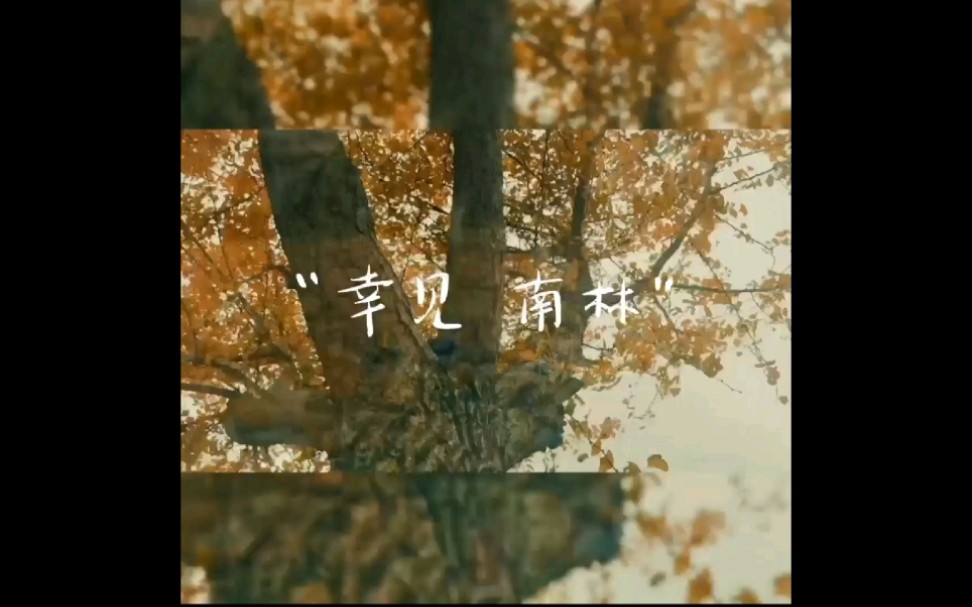 南京林业大学淮安校区校园NJFU