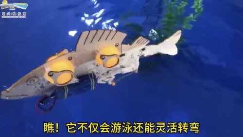 自制一条机械鱼,把它放进水里会浮起来吗? 为什么它能够在水里