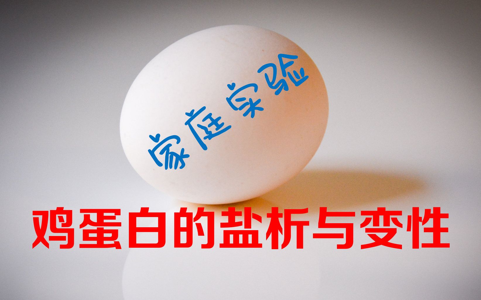 【家庭实验】学生作品:蛋白质的盐析与变性