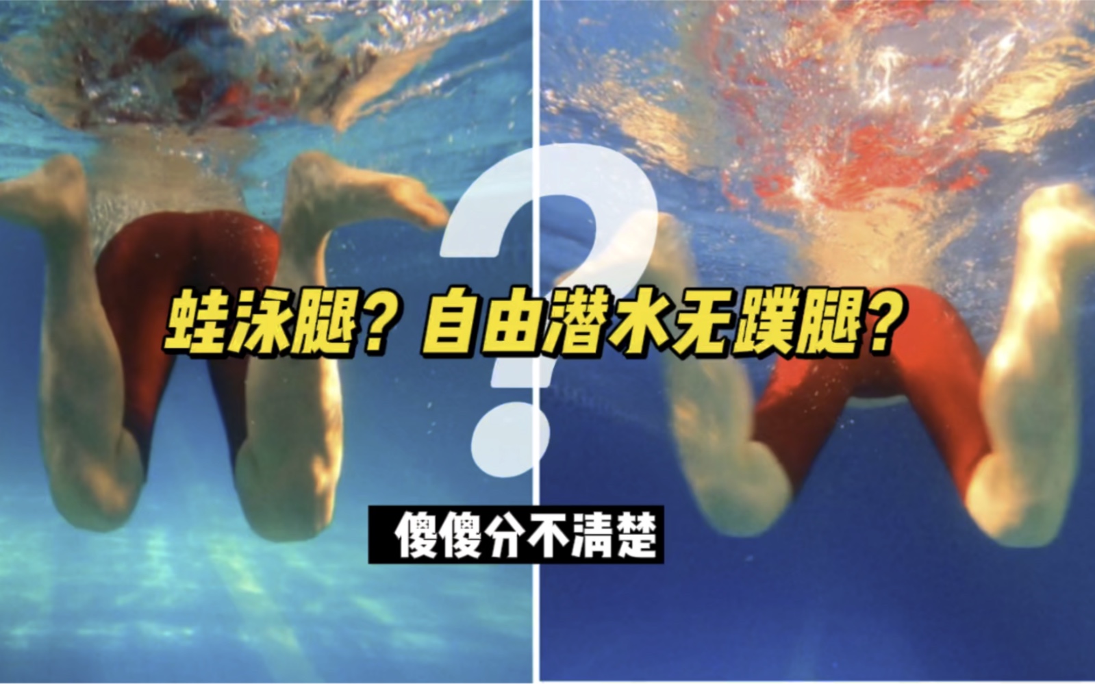 蛙泳蹬腿&自由潜无蹼蹬腿的区别在哪里?