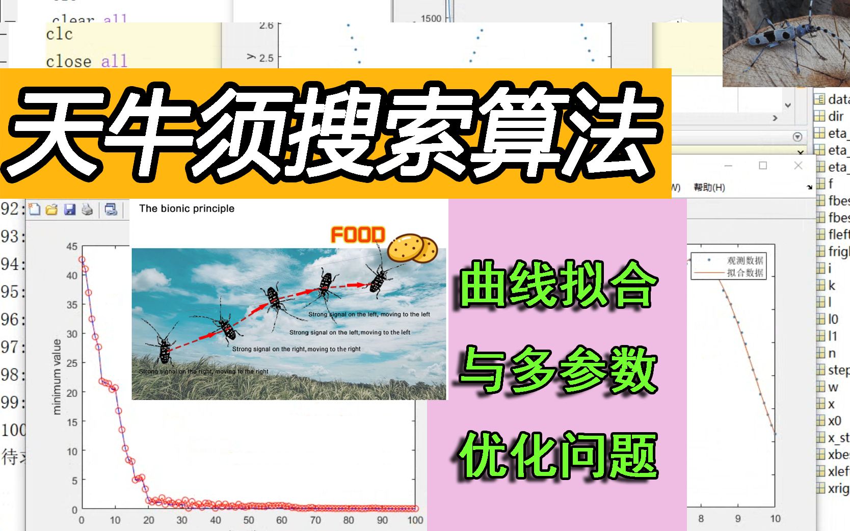 MATLAB天牛须搜索算法求解数据拟合和多参数优化问题代码实例