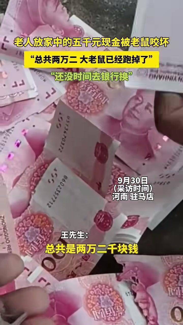 老人放家中的五千元现金被老鼠咬坏"总共两万二大老鼠已经跑掉了"(来源:@wz888999666)#老鼠#纸币#万万没想到