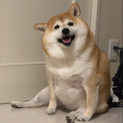 胖一壶 