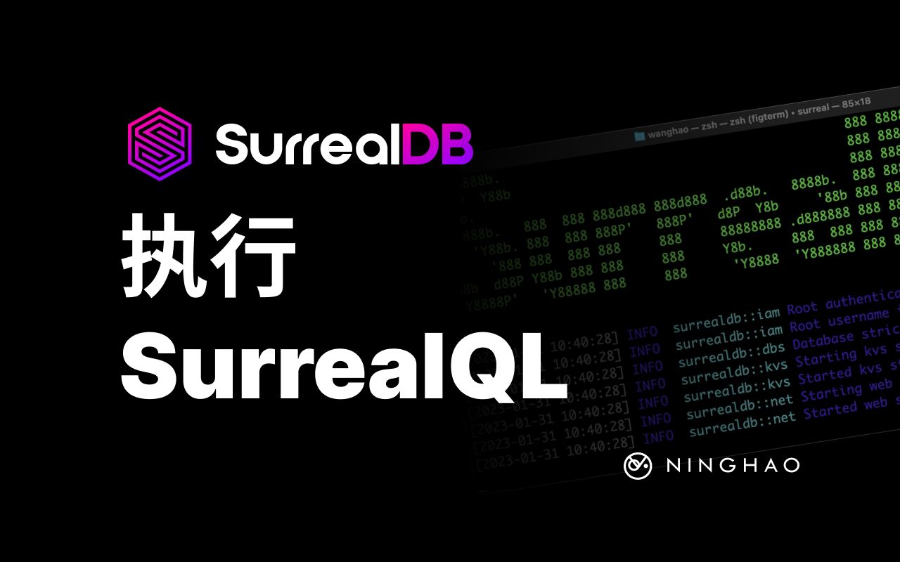 宁皓网__SurrealDB__03:执行 SurrealQL (sql 命令)