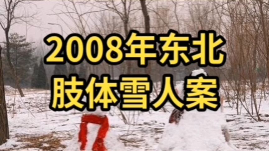 2008年东北肢体雪人案
