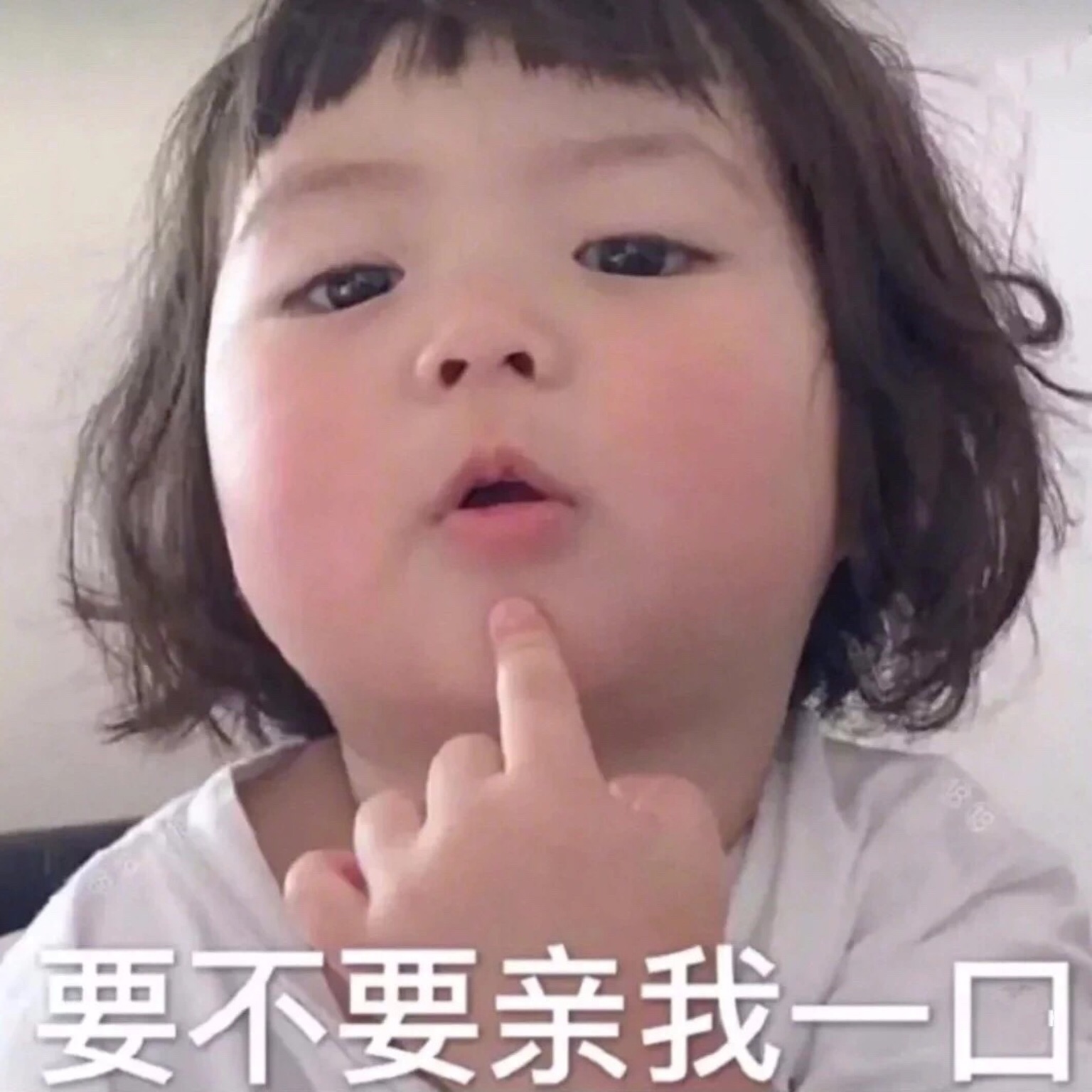 明天一定瘦的大番茄 
