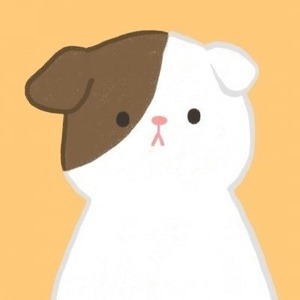 映像影视解说
