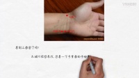 穴位大全:太渊穴的准确位置图