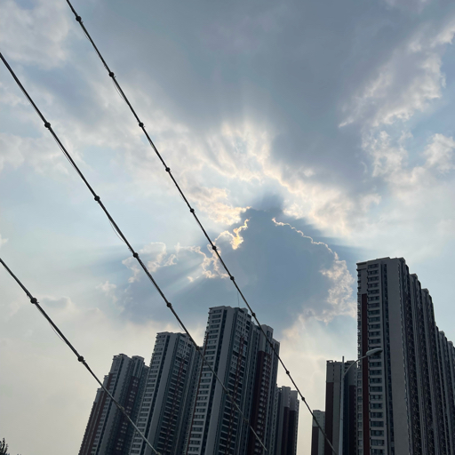 90后啊陆 