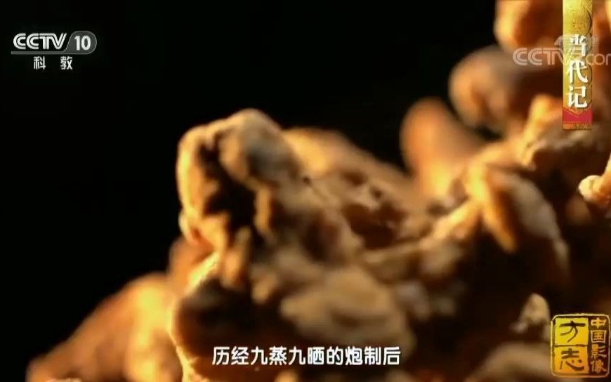 央视科教频道讲解黄精