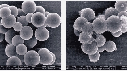 环氧树脂芯材微胶囊自修复技术在涂料中的应用